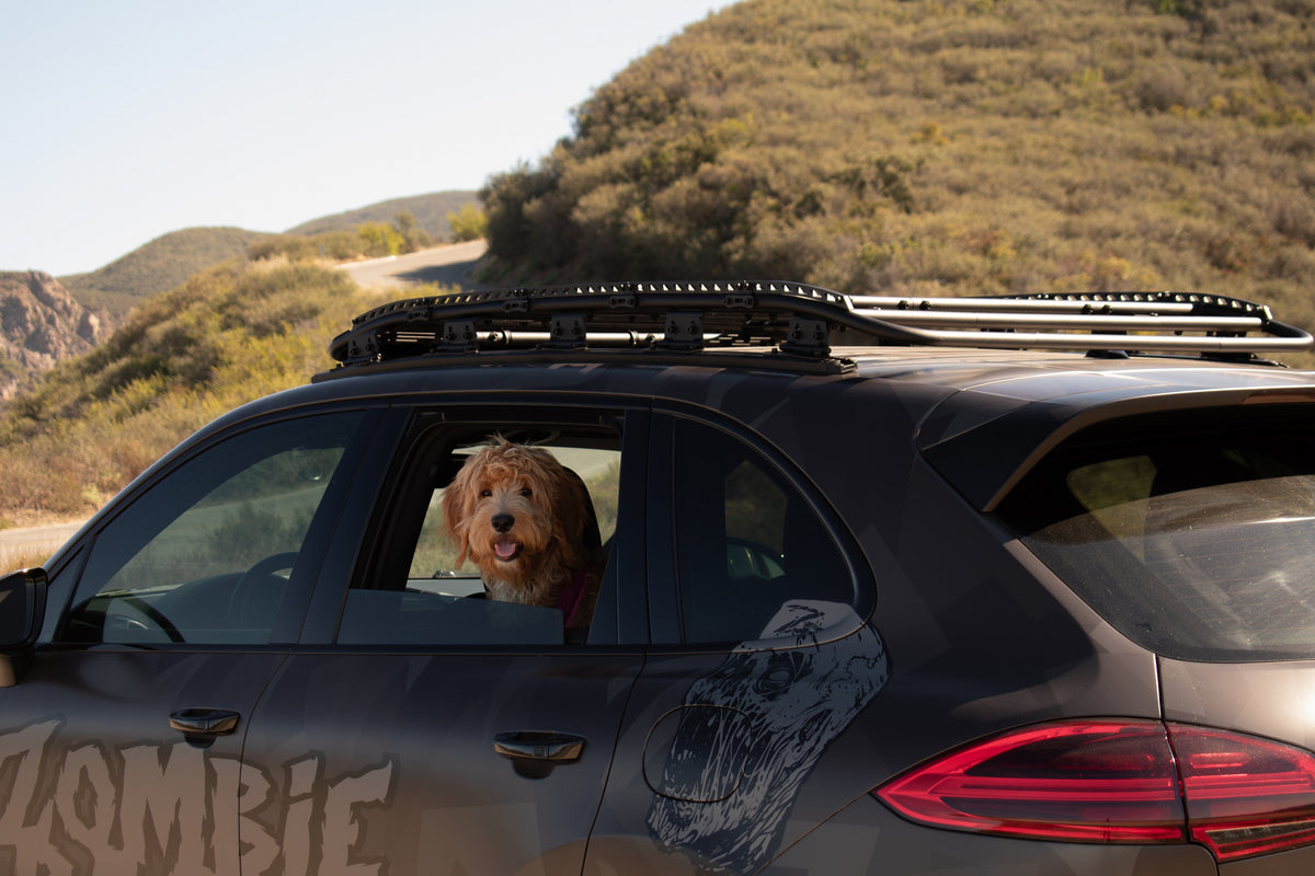 Zombie Racks | Custom Cargo Racks and Accessories for All Adventures